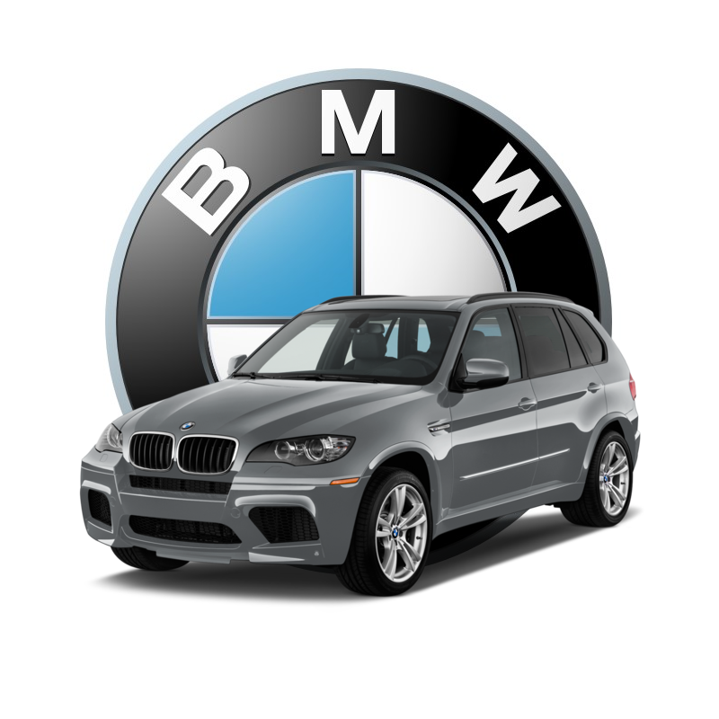 BMW X5 Remote Start - Plug & Play Kit | 2007 - 2013